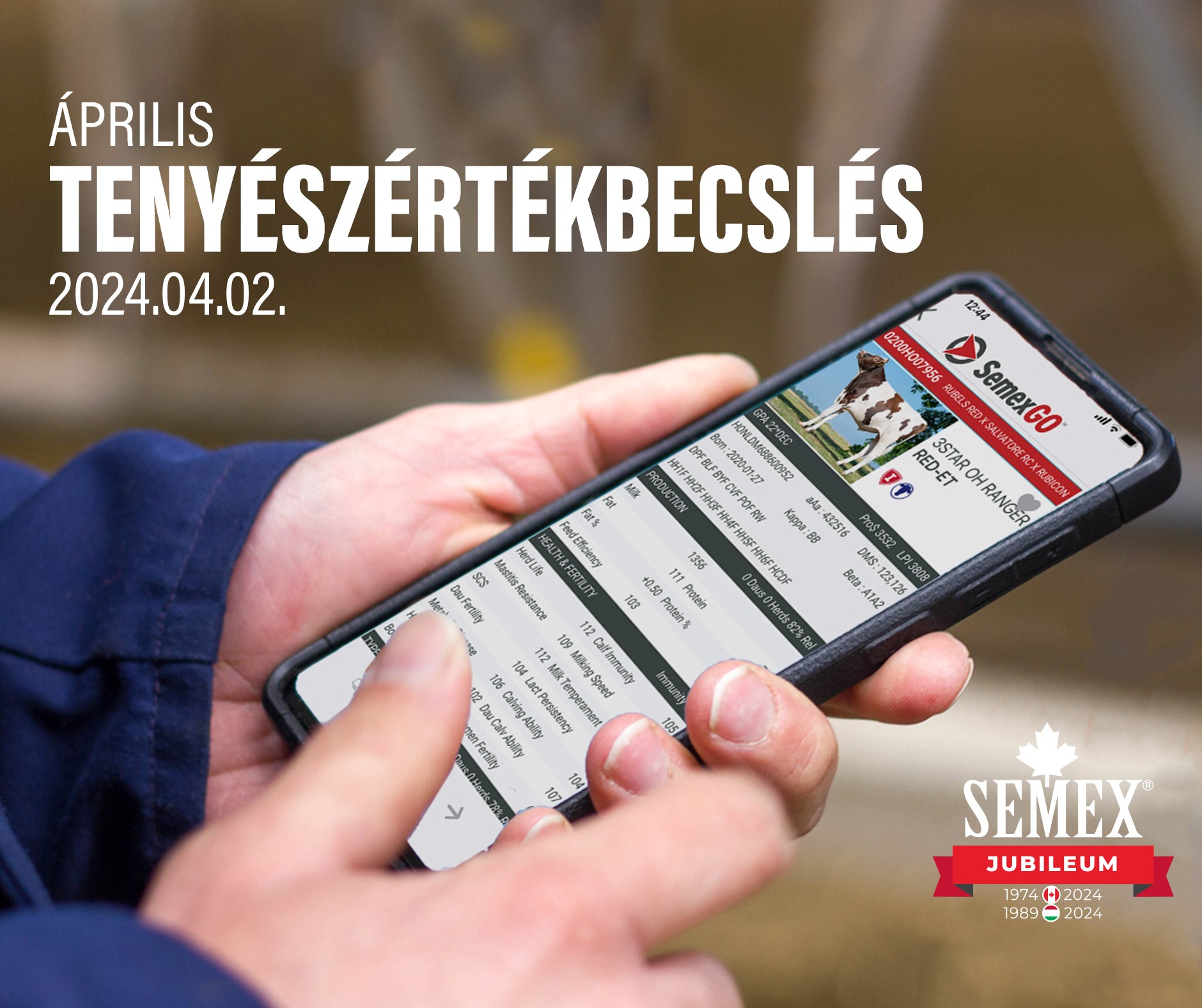 Semex Hungary